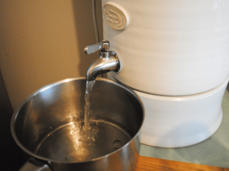 How to make fizzy kombucha at home (probiotic drink)