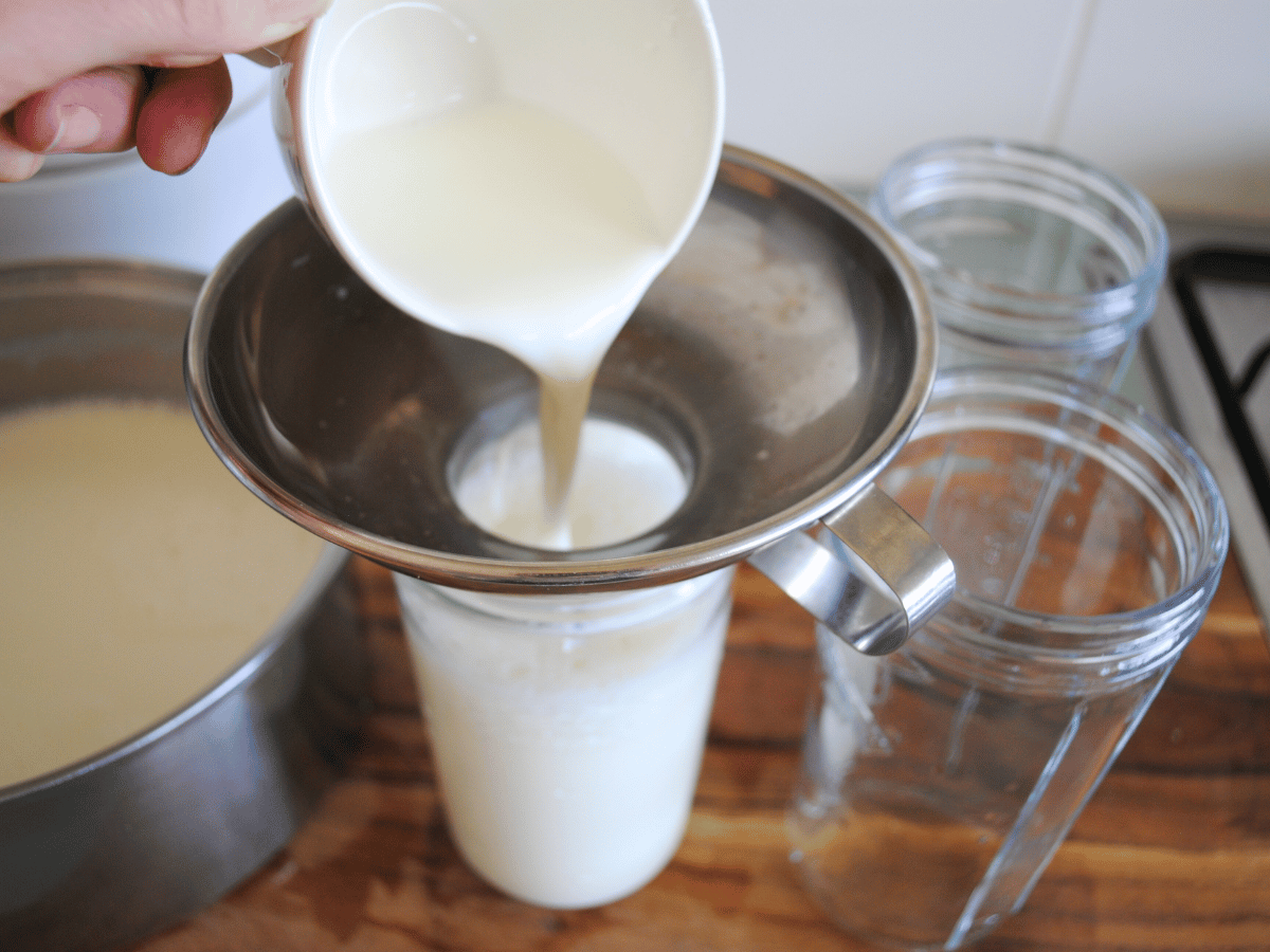 How to make natural yoghurt at home (beginner guide)