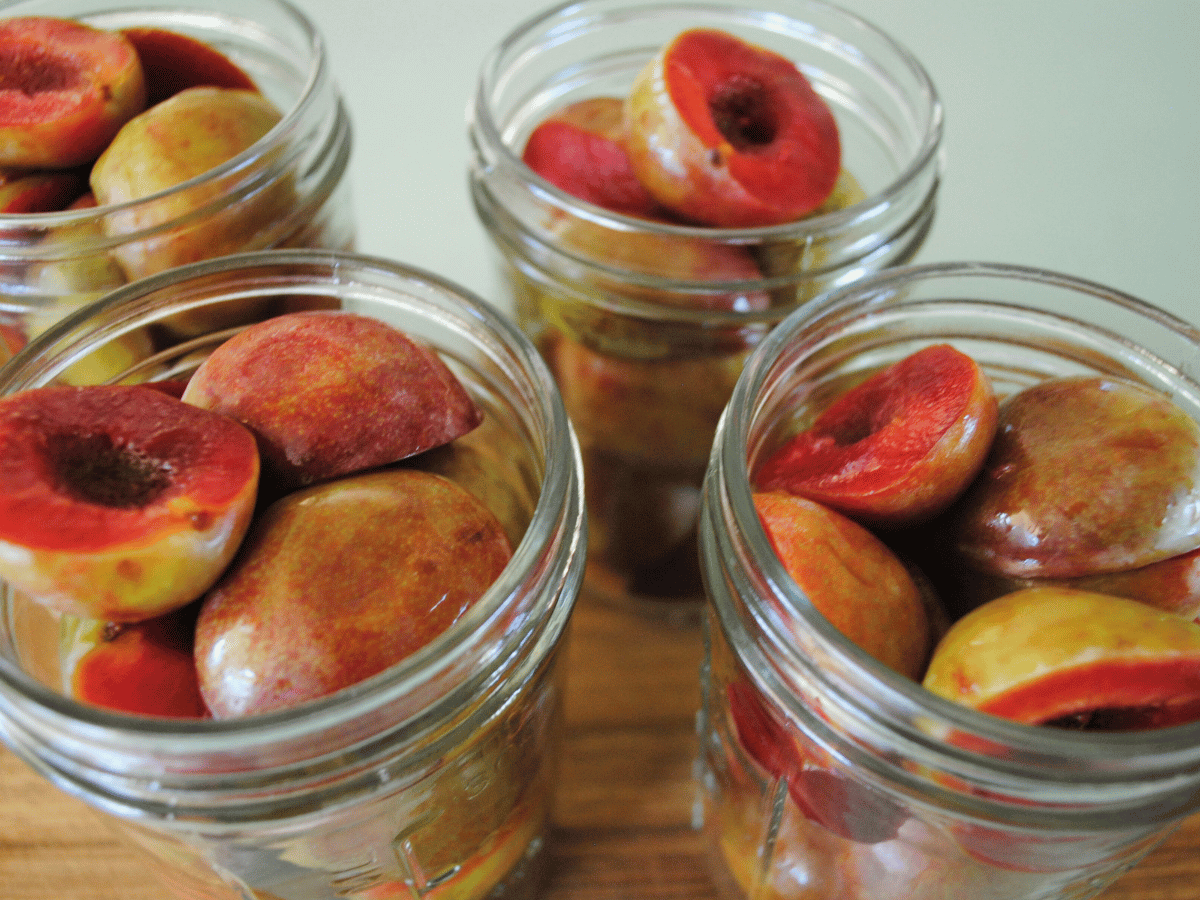 How to can plums (and other stone fruit) at home