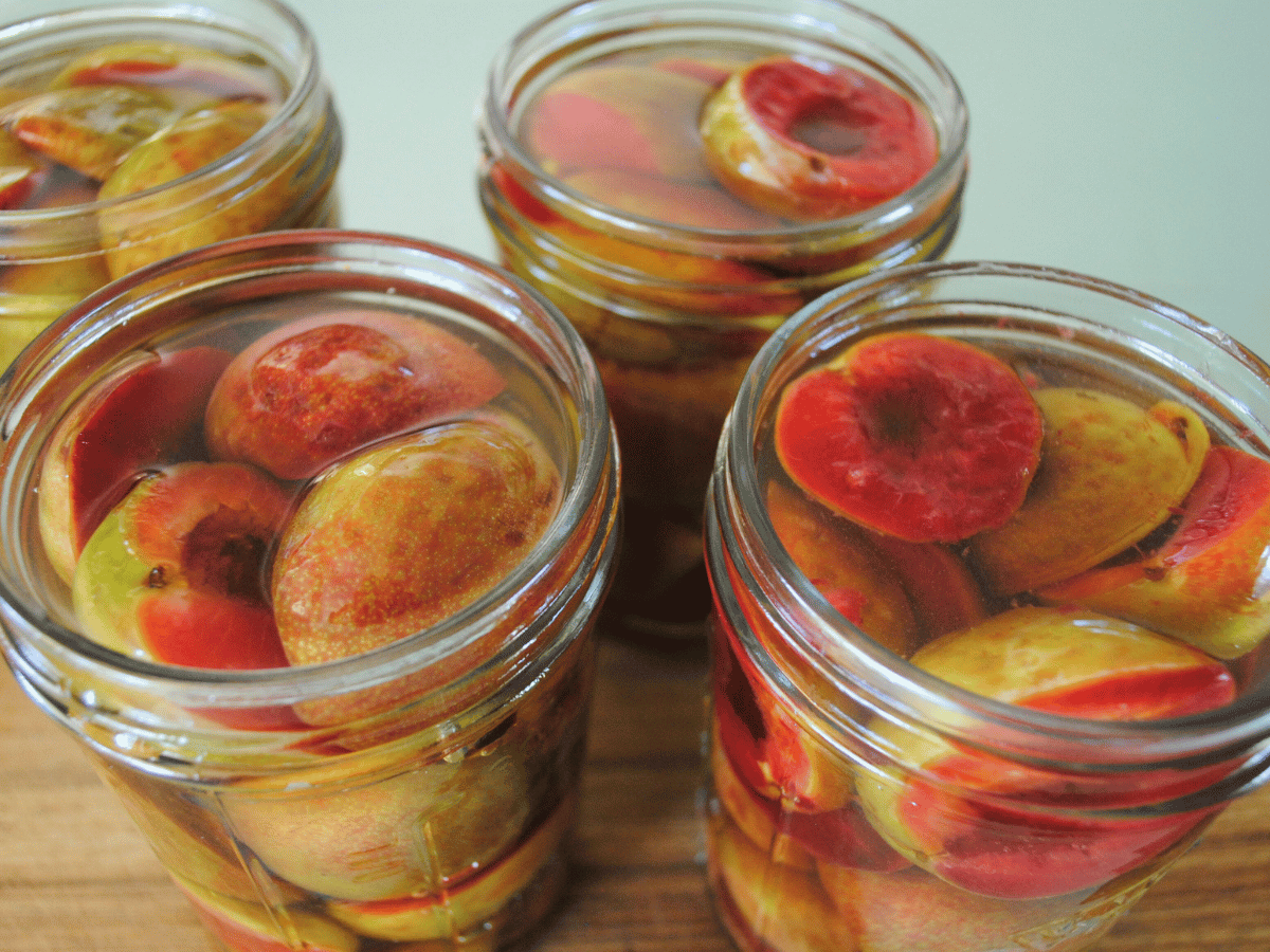 How to can plums (and other stone fruit) at home