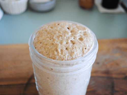 How to care for a no-discard sourdough starter